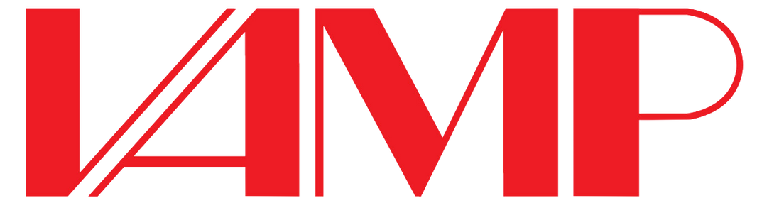 Vamp Dance Heels | Dance Shoes for Heels Dancing – Vamp Heels